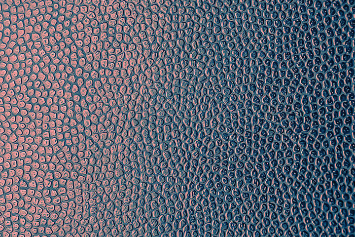 How to Remove Ink off Leather in 2025