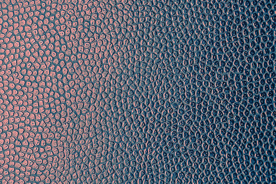 How to Remove Ink off Leather in 2025