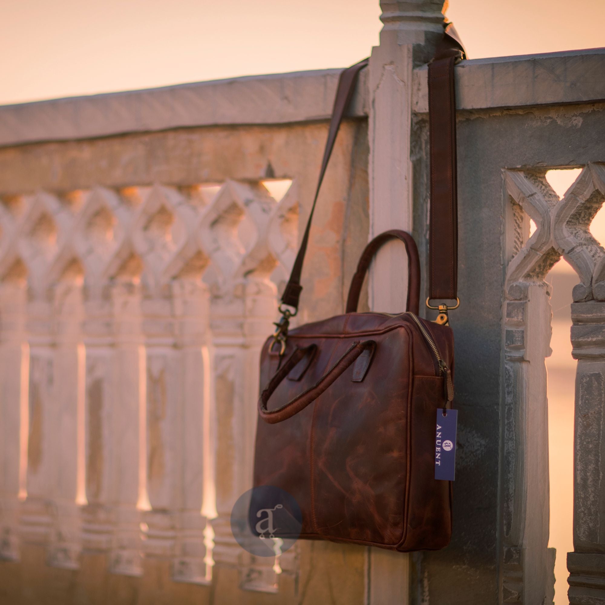 The Professional: Sleek Laptop Carrier for Modern Executives